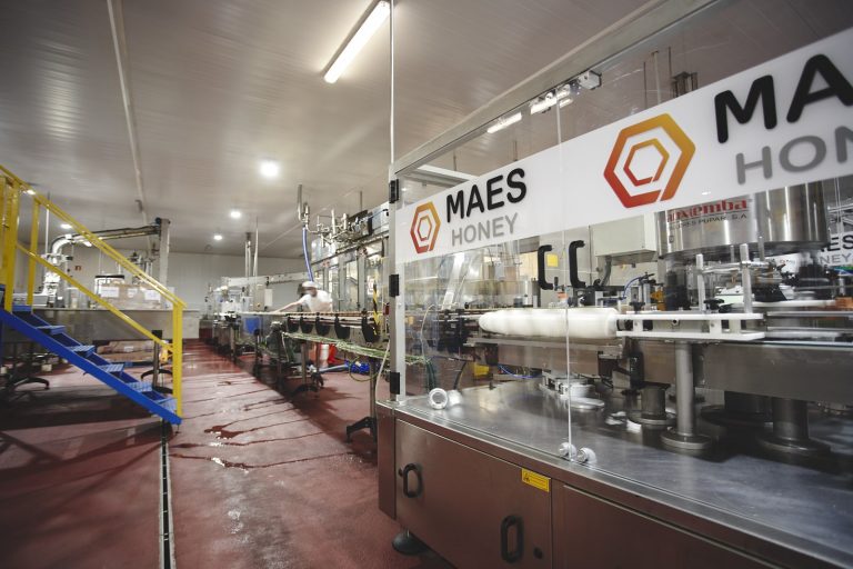 The production process of honey step by step at Maes Honey - MAES HONEY